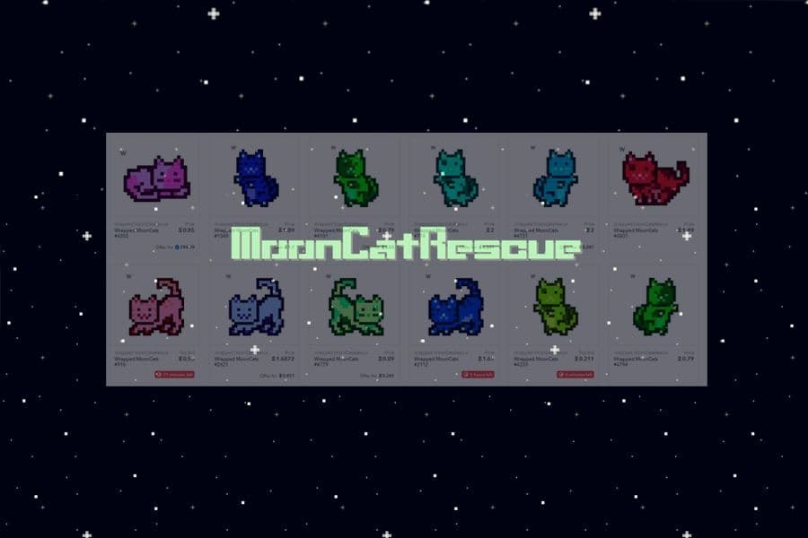 Week in Review: Beeple, Mooncats and Elon Musk