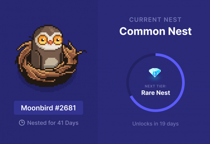 A Guide to Moonbirds: What Are These PFP Owl NFTs?