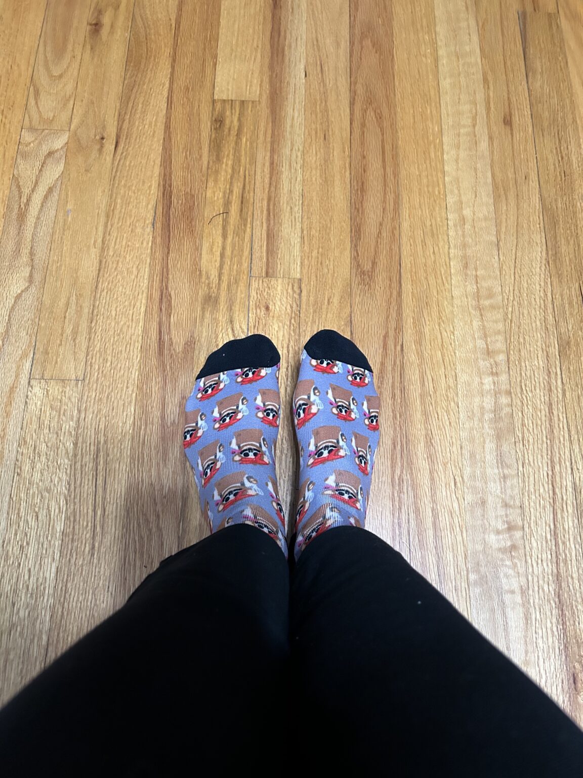 The Ultimate Guide to Bitcoin Puppets: All You Need to Know