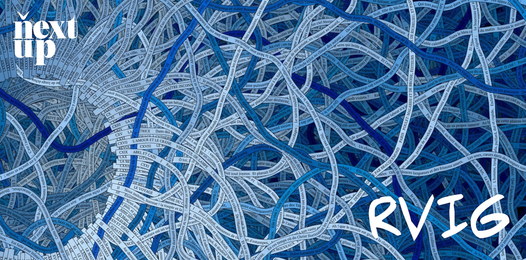 Next Up: RVig Fuses Florals & Poetry in Award-Winning Generative Art